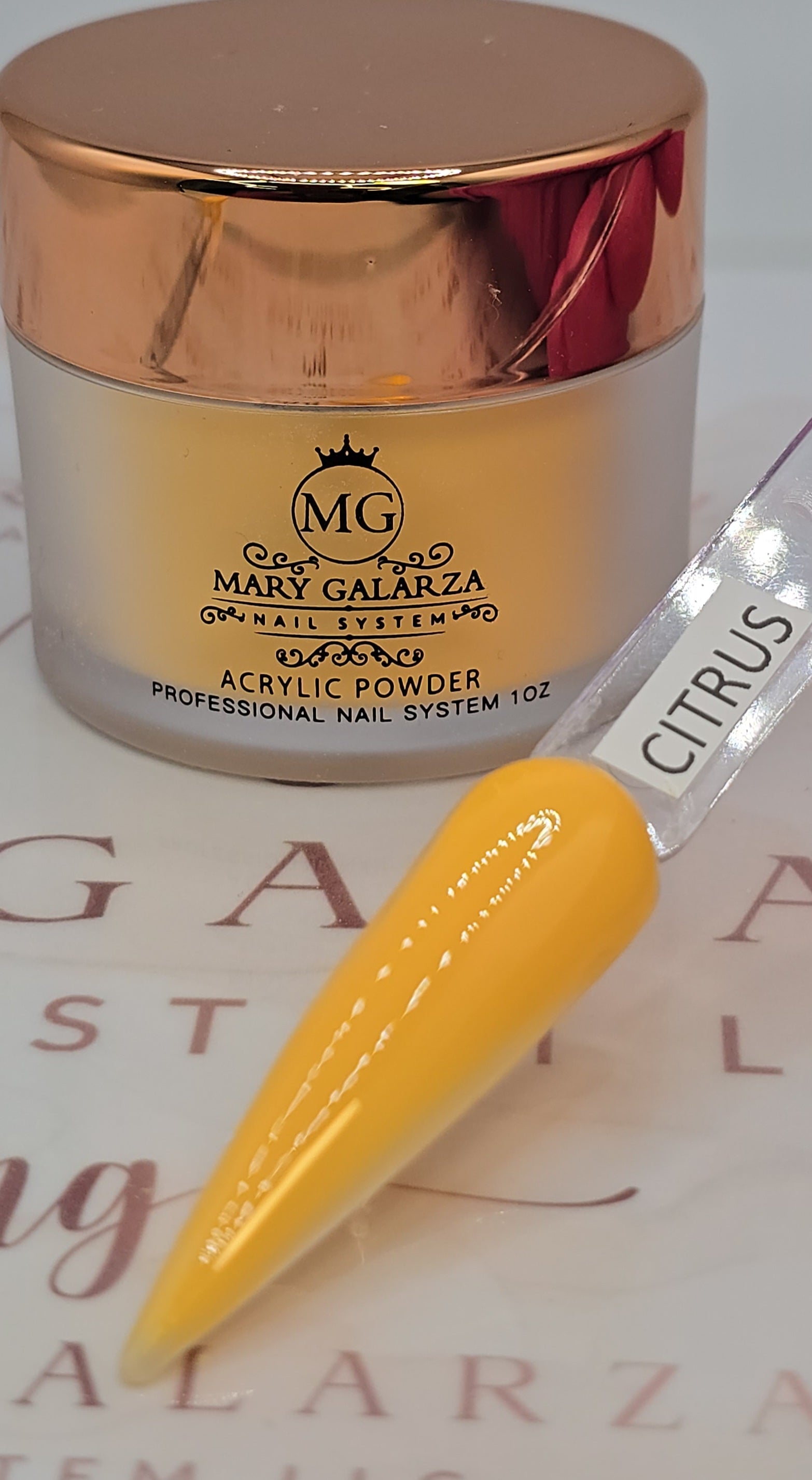 NEW ARRIVALS – MG MARY GALARZA NAIL SYSTEM